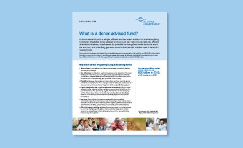 What is a donor-advised fund? | DAFgiving360
